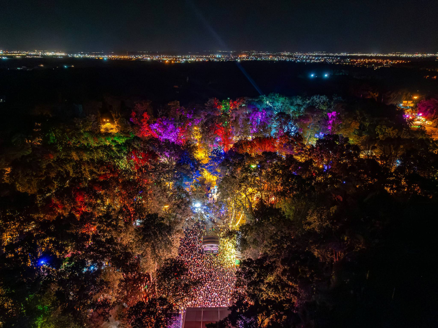 CODRU Festival 2025 - line-up-ul ediției aniversare - 3 zile de muzică ...